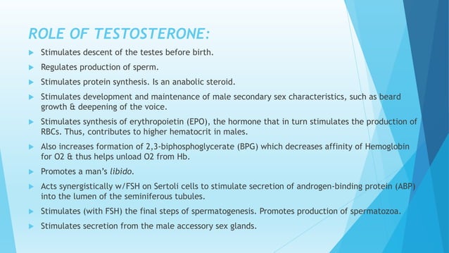 Testosterone-Primary male androgen hormone synthesis | PPT
