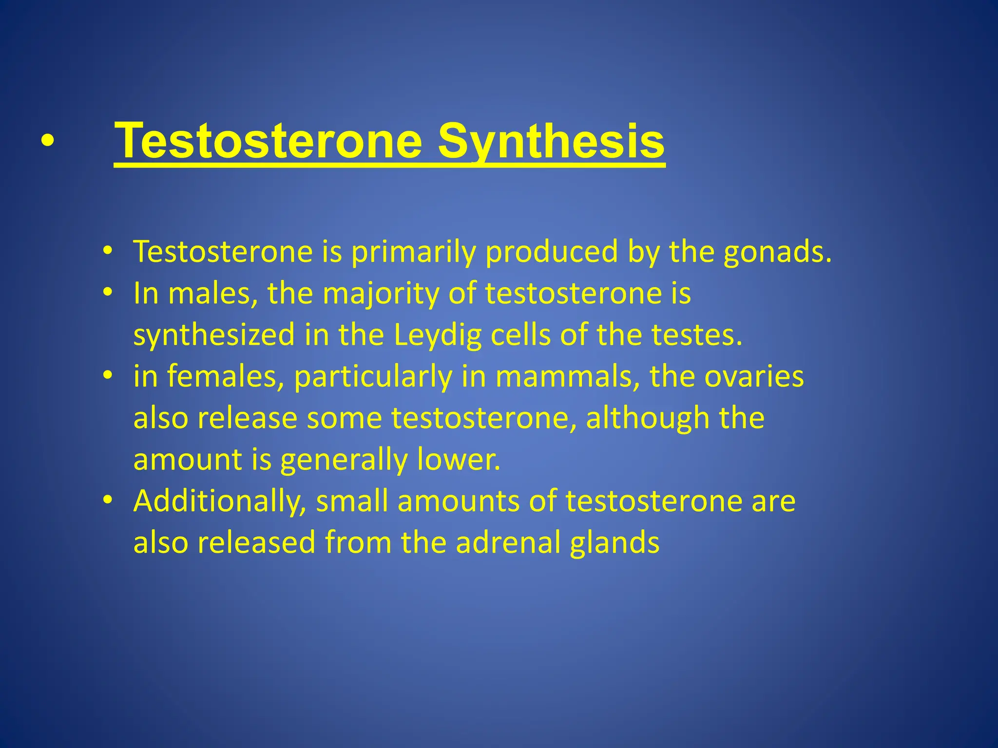 Testosterone.pptx