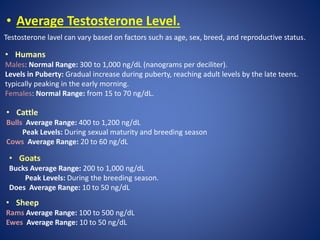 Testosterone.pptx