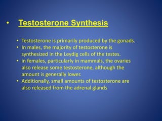 Testosterone.pptx