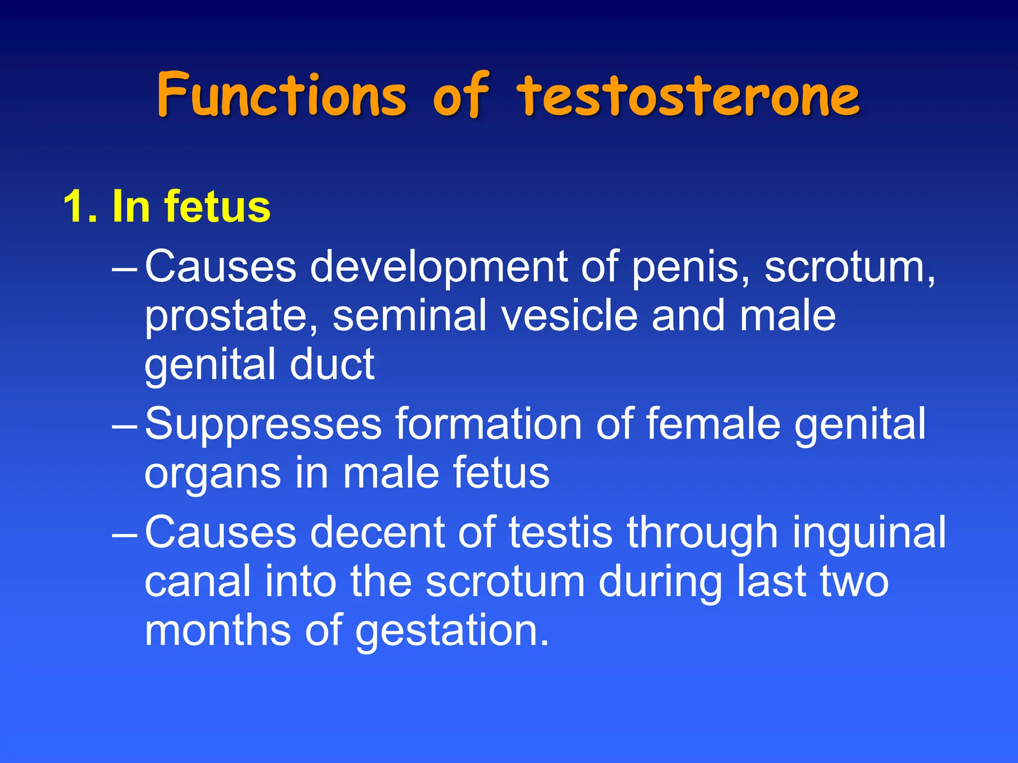 Testosterone%20production%20n%20function.pptx