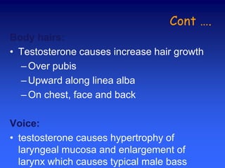 Testosterone%20production%20n%20function.pptx
