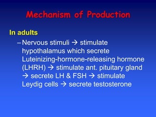 Testosterone%20production%20n%20function.pptx