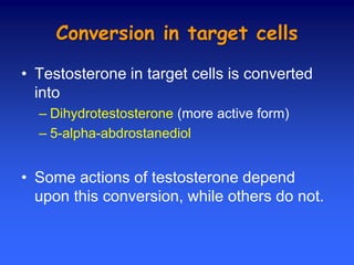 Testosterone%20production%20n%20function.pptx