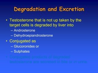 Testosterone%20production%20n%20function.pptx