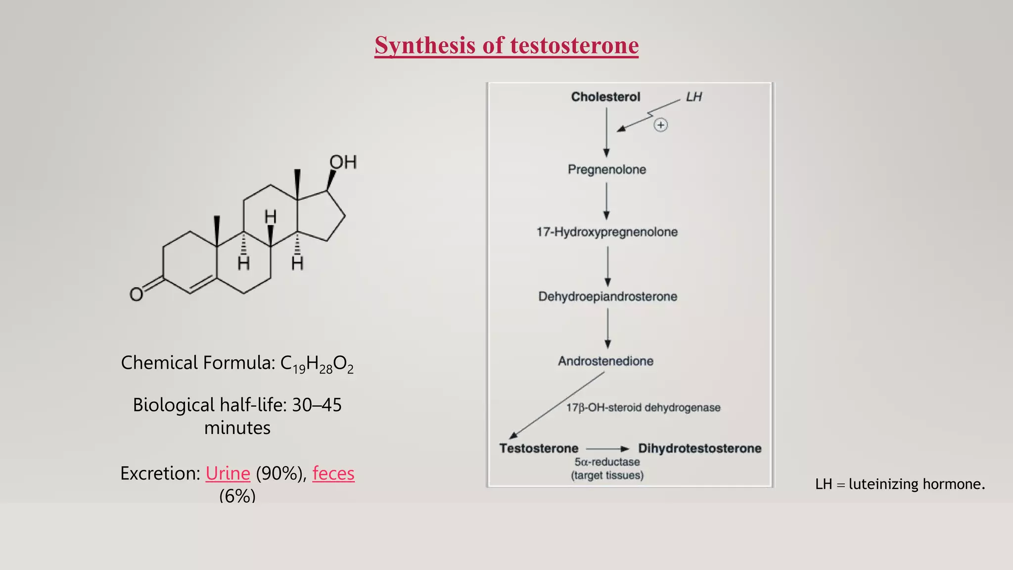Testosterone and other male sex hormones | PPTX