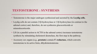 Testosterone and other male sex hormones | PPTX