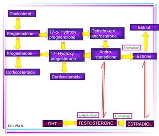 Testosterone & Antitestoterones(7) | PPT
