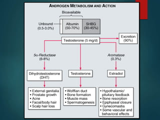 Testosterone hormone - Medicinal Chemistry | PPTX
