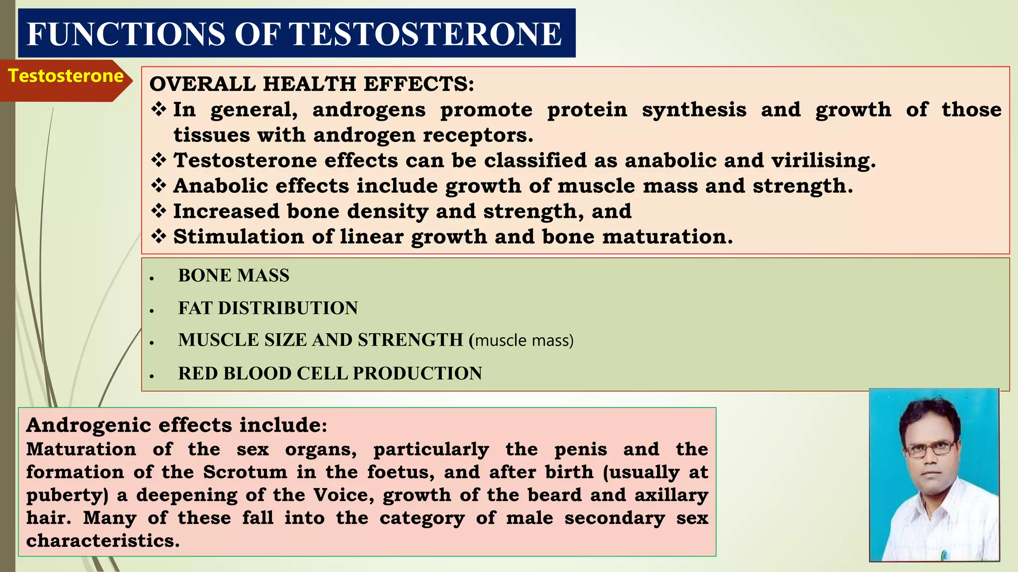 Testosterone Hormone | PPTX