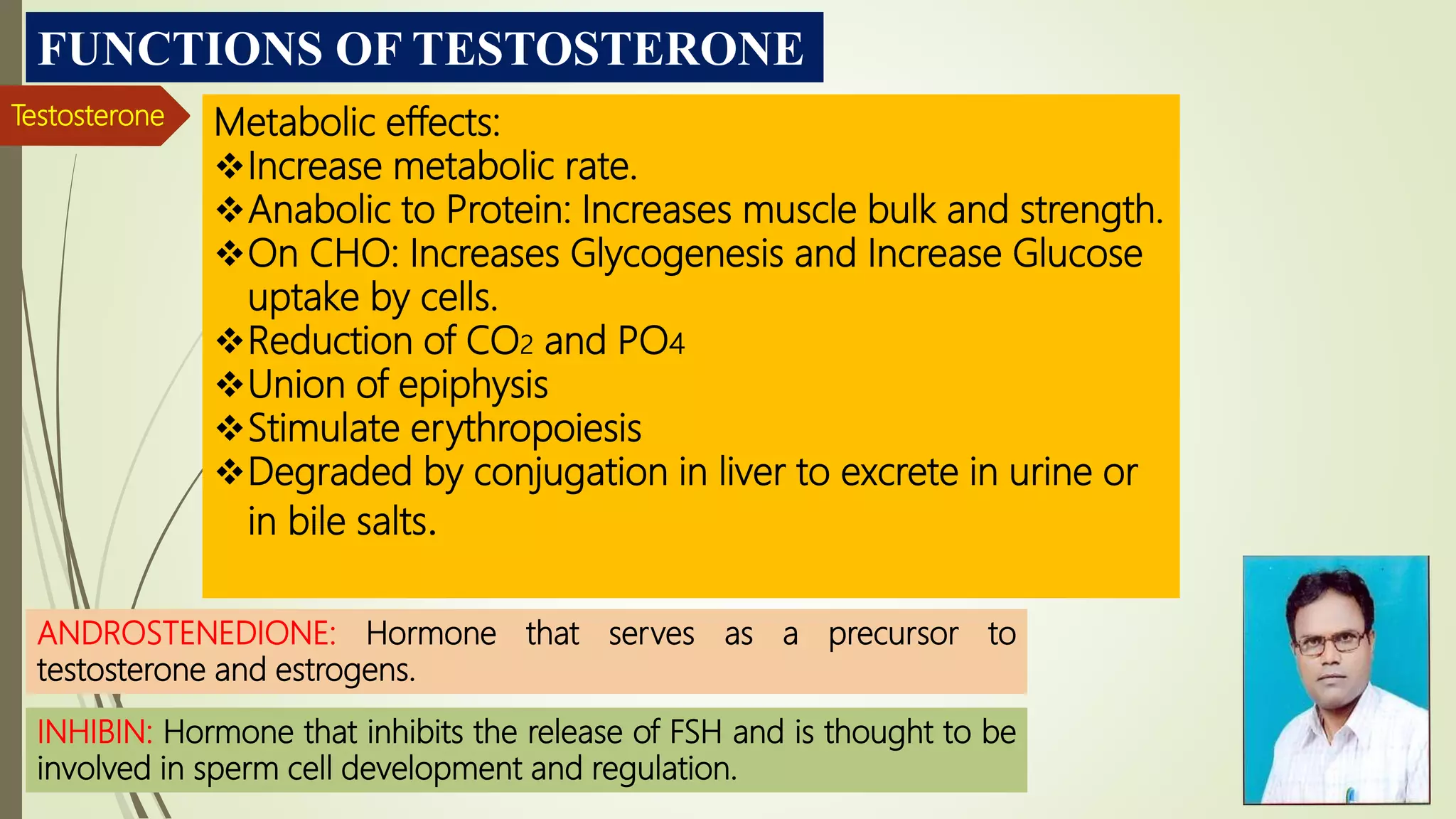 Testosterone Hormone | PPTX