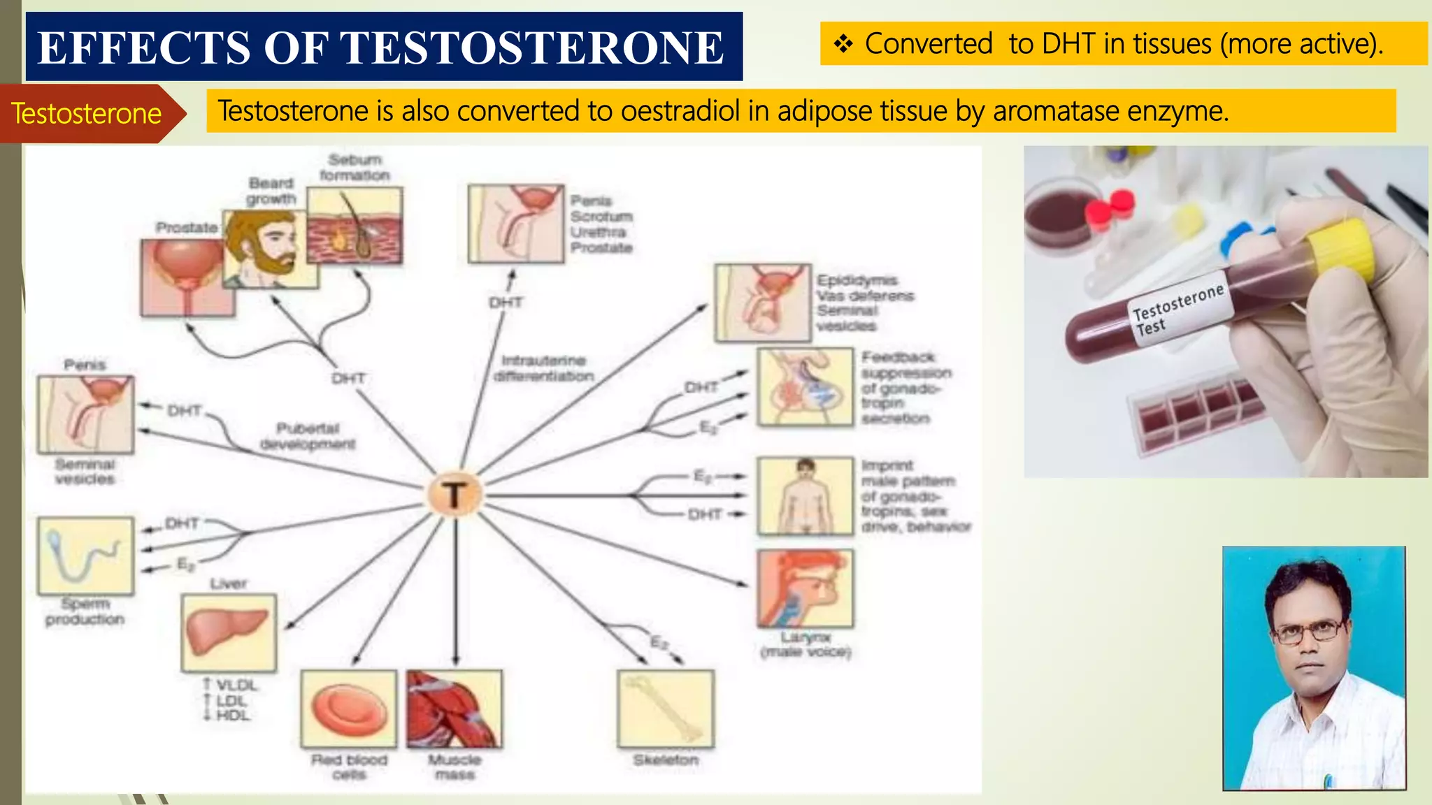 Testosterone Hormone | PPTX