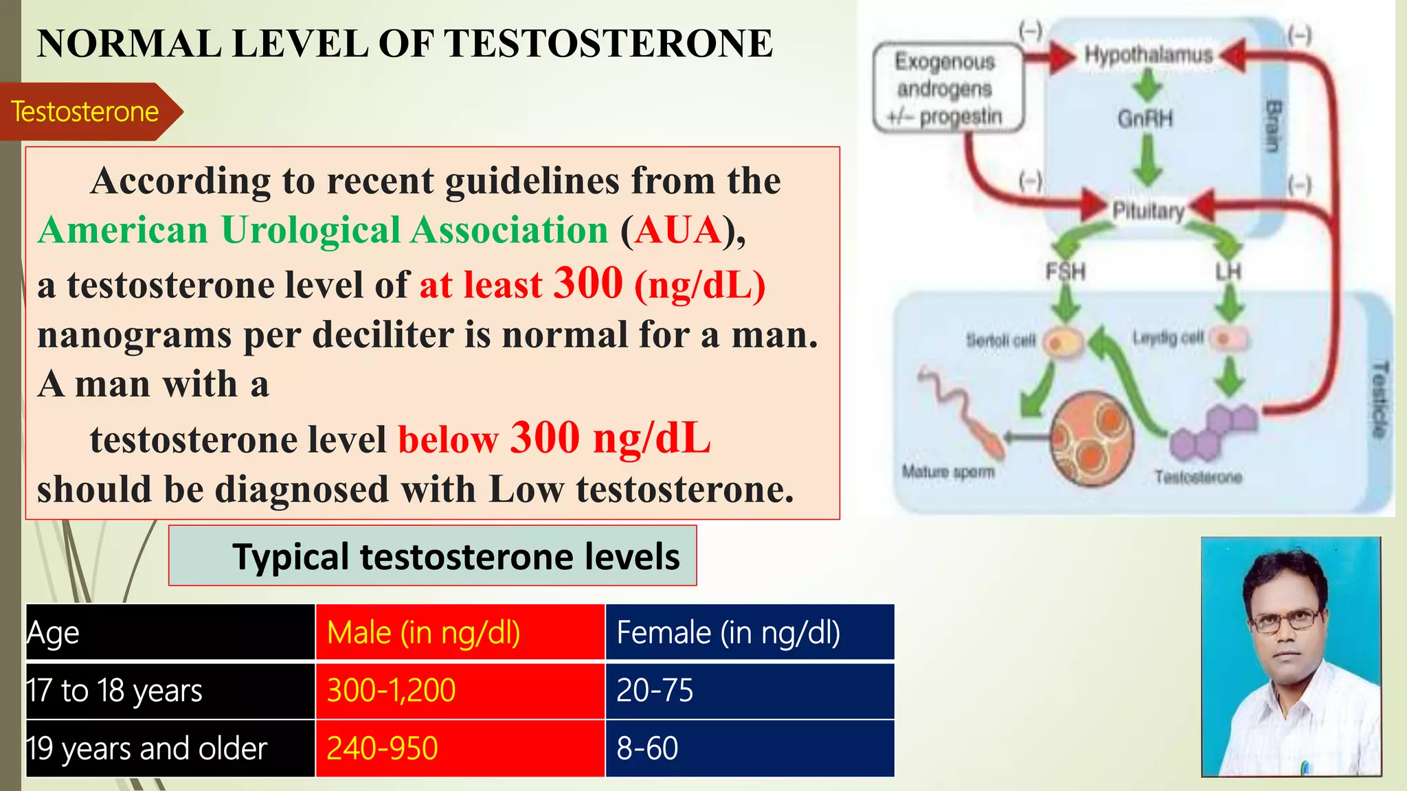 Testosterone Hormone | PPTX