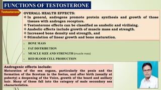 Testosterone Hormone | PPTX