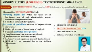 Testosterone Hormone | PPTX