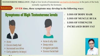 Testosterone Hormone | PPTX