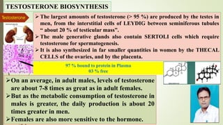 Testosterone Hormone | PPTX