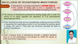 Testosterone Hormone | PPTX