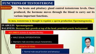 Testosterone Hormone | PPTX