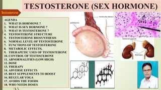 Testosterone Hormone