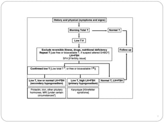 Testosterone therapy in_men_with_androgen_deficiency_syndromes__an ...