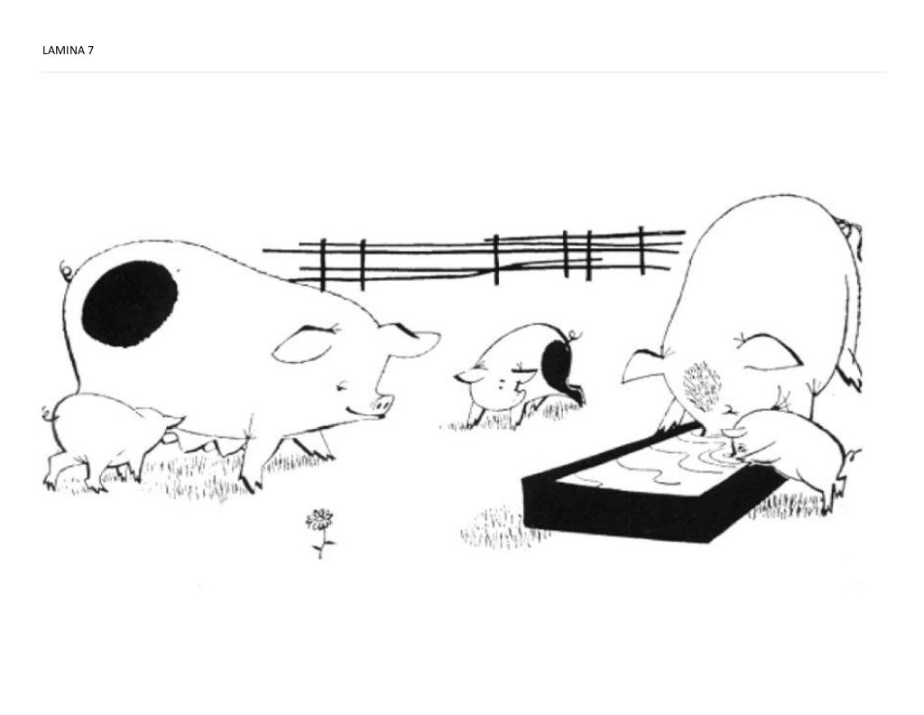 Test pata negra (laminas y manual)