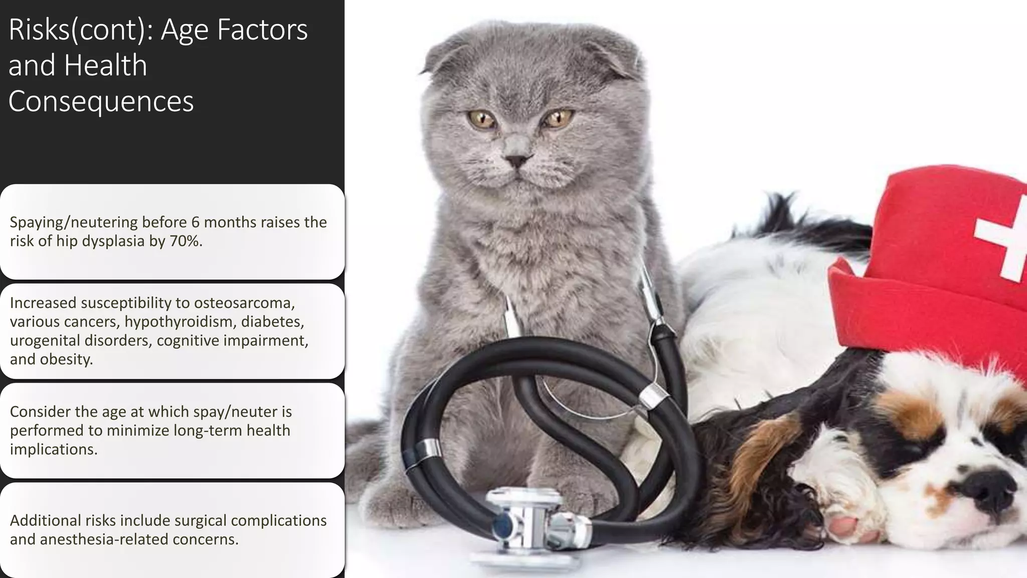 Spay and Neuter | PPTX