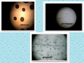 Tests and hair | PPTX | Chemistry | Science