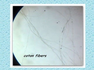 Tests and hair | PPTX | Chemistry | Science