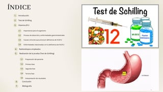 test schilling.pdf