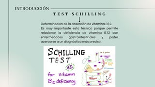 test schilling.pdf