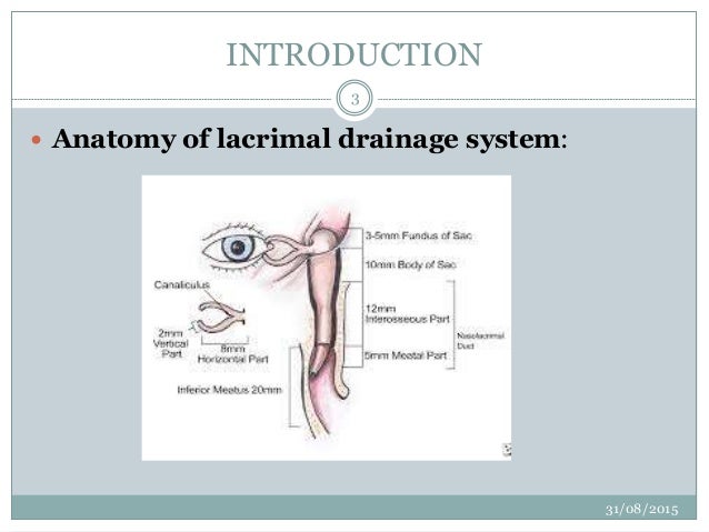 Tests done to assess patency of lacrimal drainage