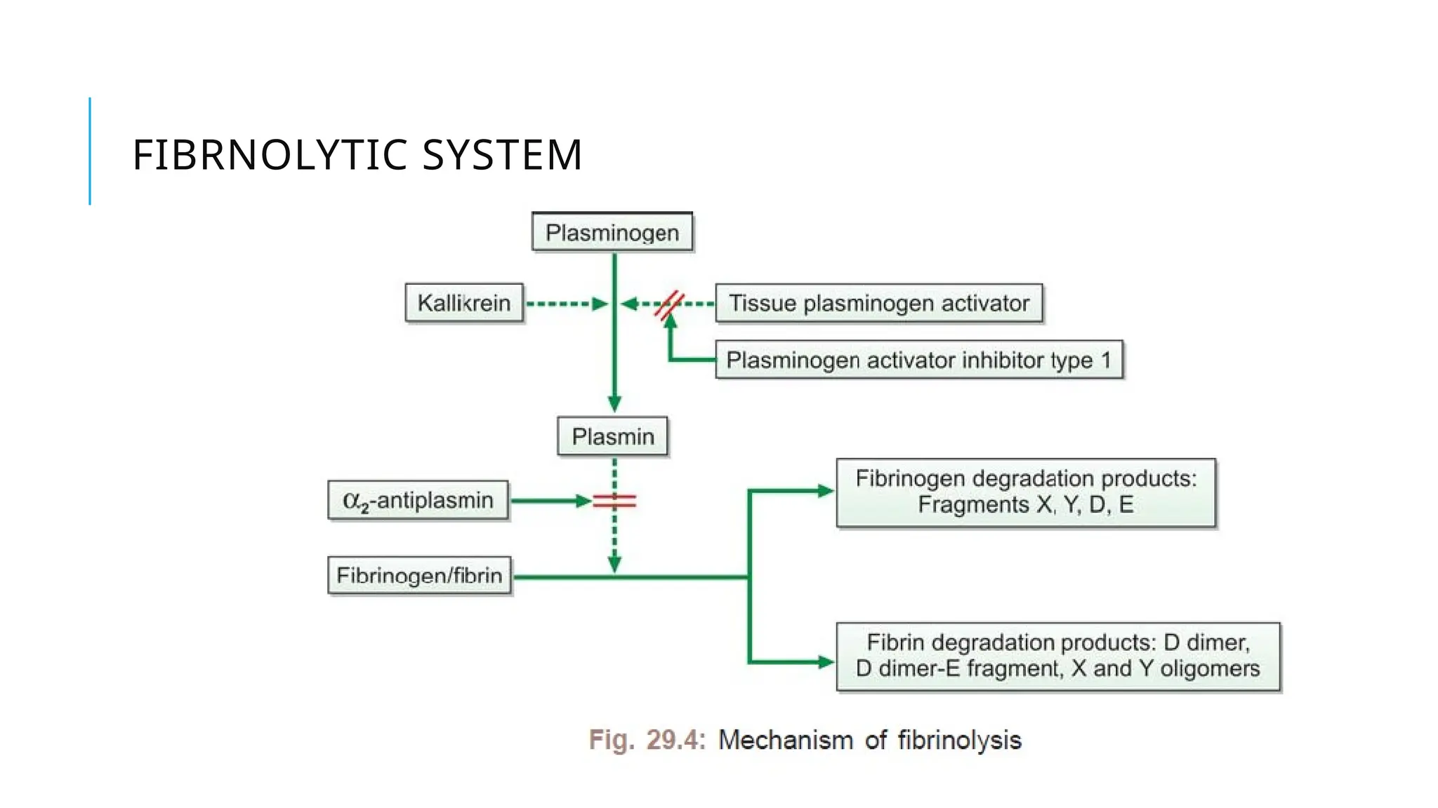 Tests for fibrinolysis .pptx