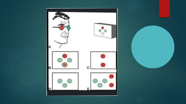TESTS FOR GRADE OF BINOCULAR VISION AND SENSORY.pptx
