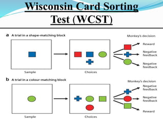 Tests for special menta & physical abilitieS | PPTX