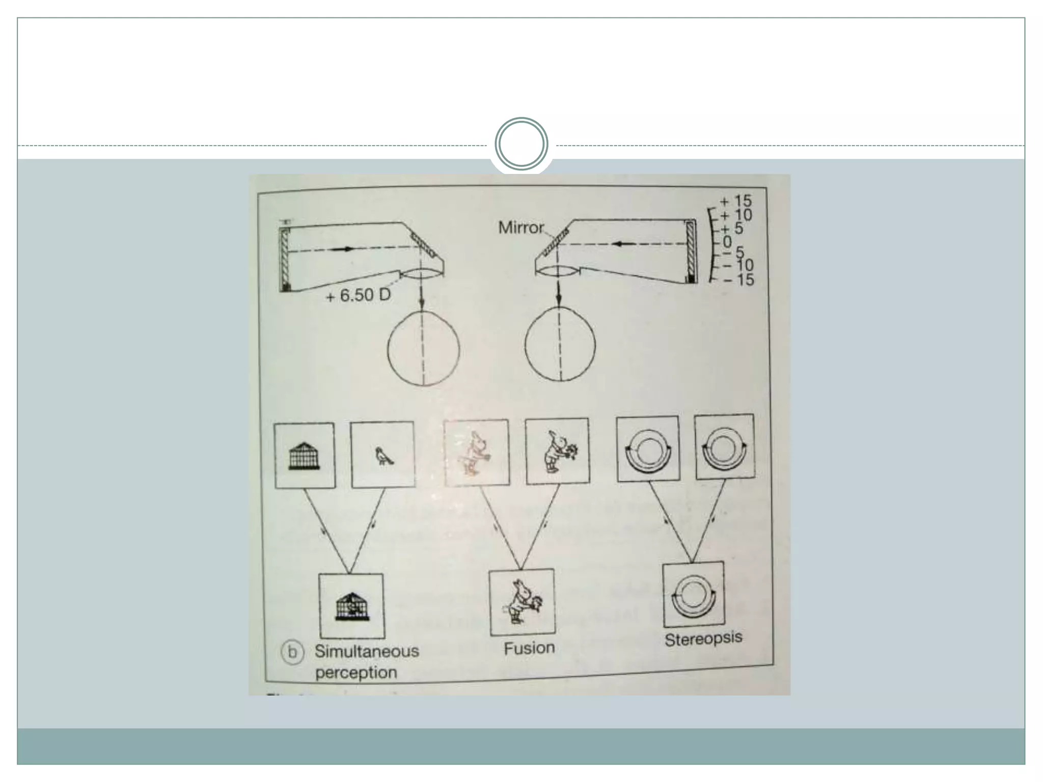 Tests of binocularity | PPTX
