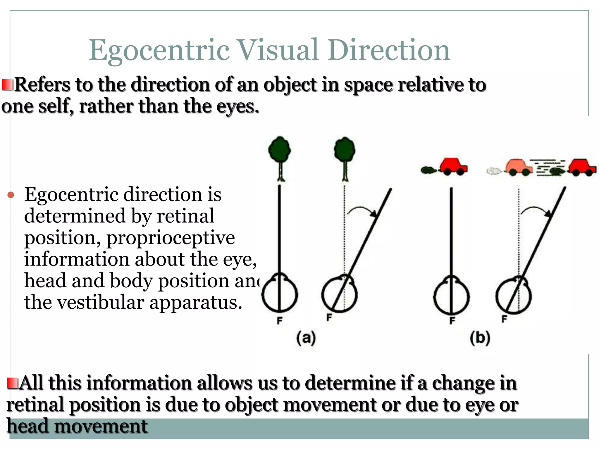 Tests of binocularity | PPTX