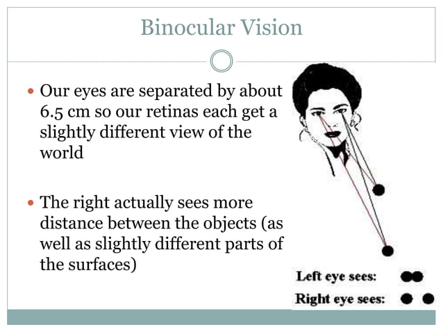 Tests of binocularity | PPTX