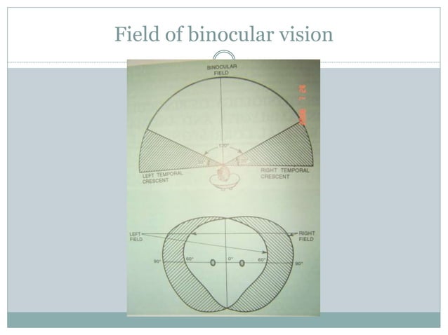 Tests of binocularity | PPTX