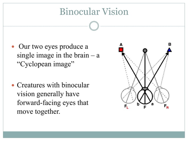 Tests of binocularity | PPTX