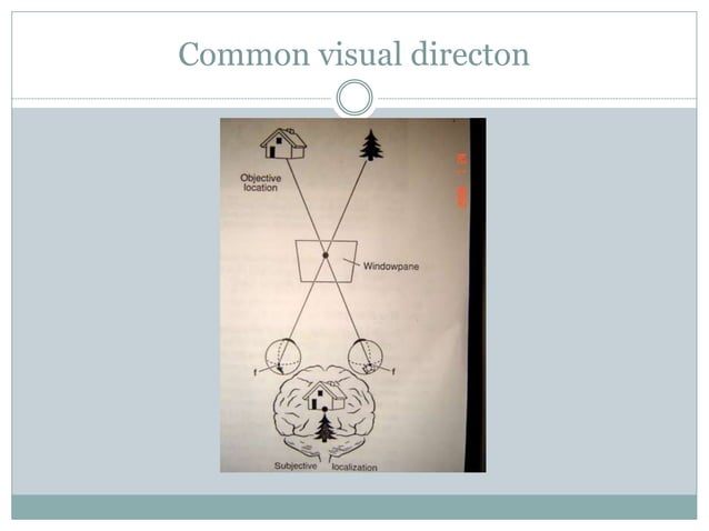 Tests of binocularity | PPTX
