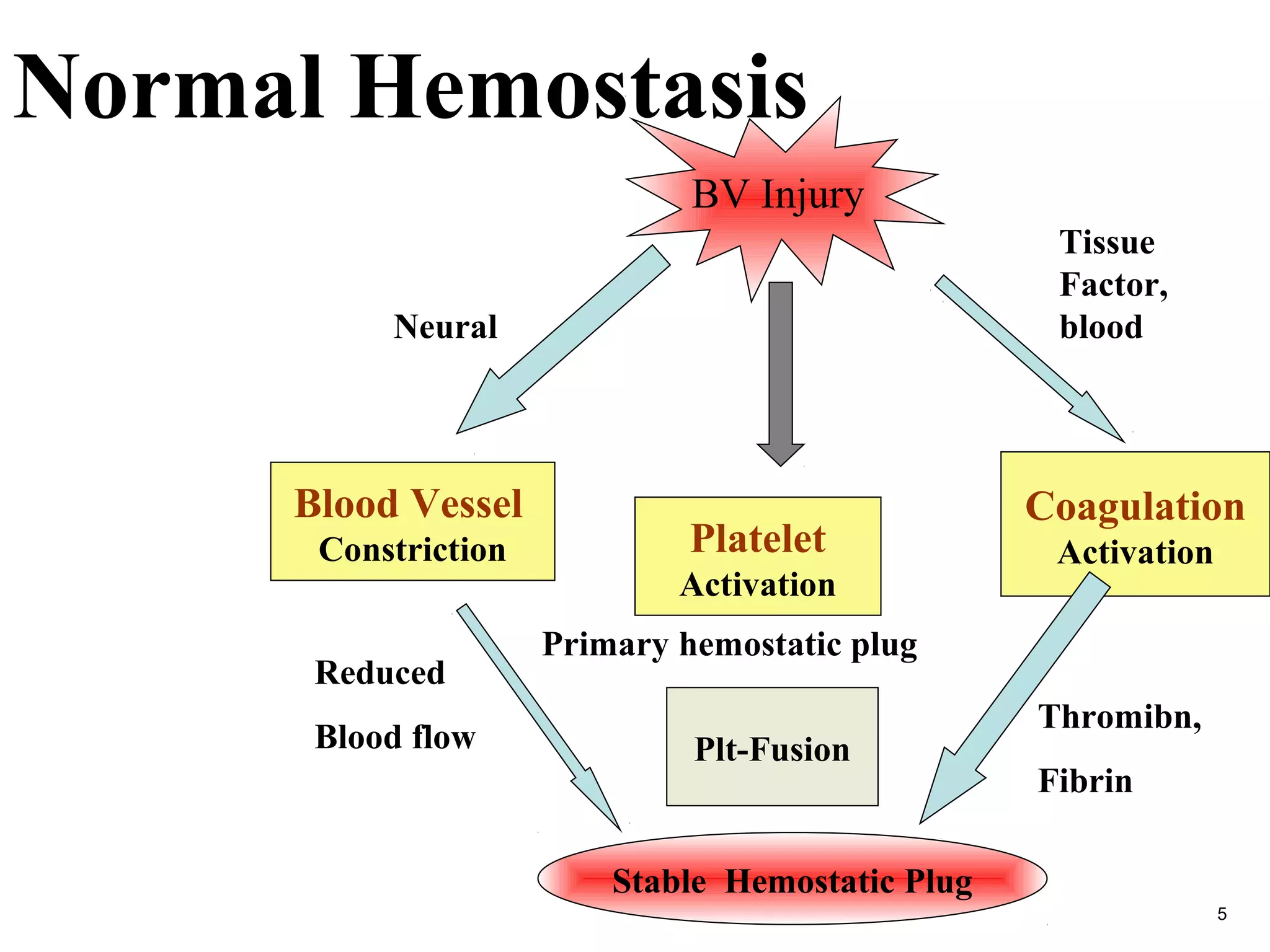 Tests of bleeding disorders | PPT