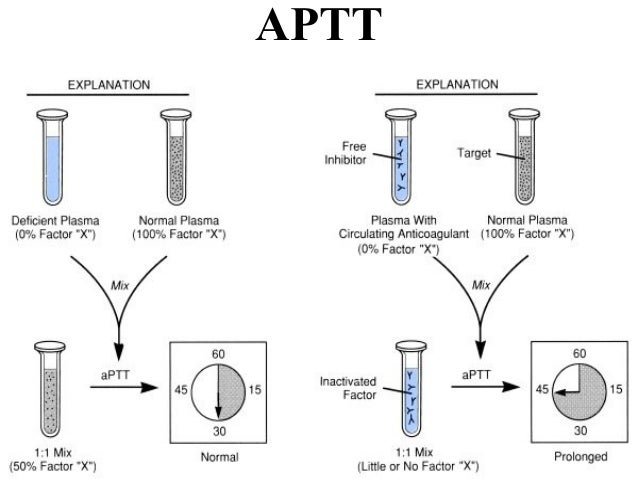 Tests of bleeding disorders