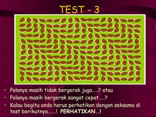 Test stress | PPS