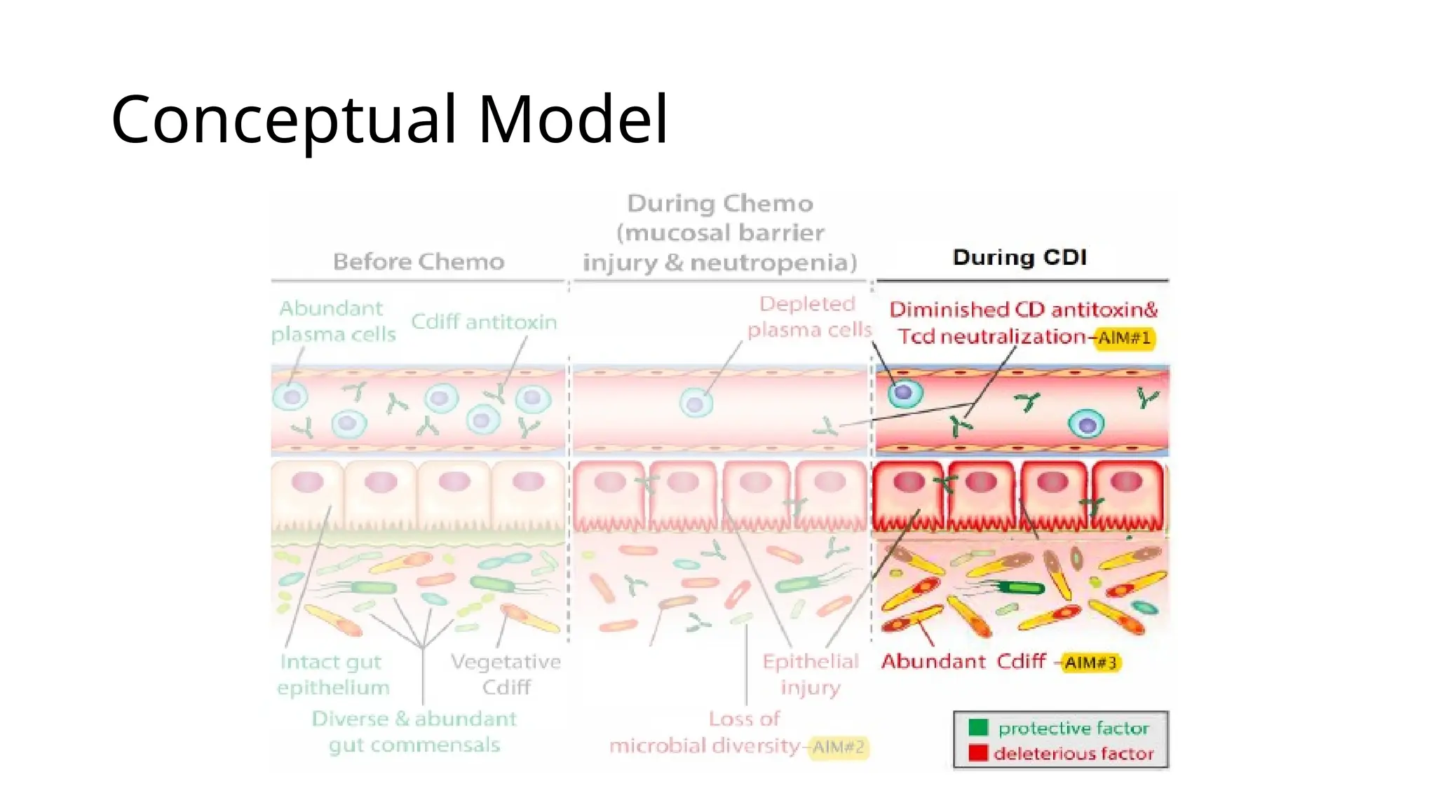 Clostridioides difficile pathogenesis.pptx
