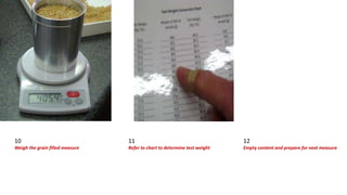 Test weight presentation | PPTX