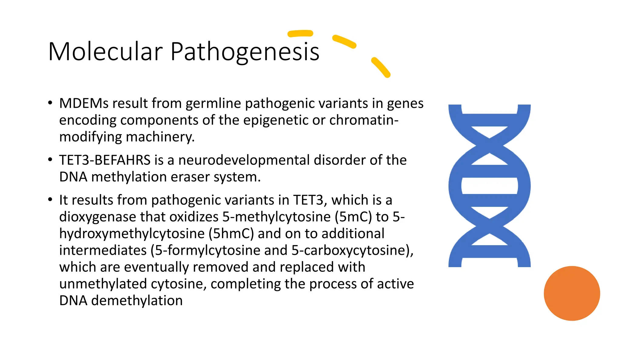 TET3-Related Beck-Fahrner Syndrome.pptx