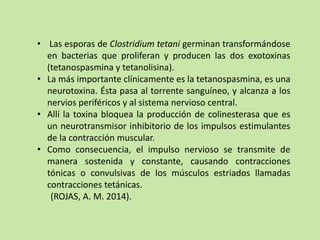 Tetano | PPT