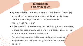 tetano (3).pptx Tétano é uma infeção bacteriana grave caracterizada por ...