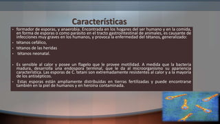 Tetano neonatal | PPTX